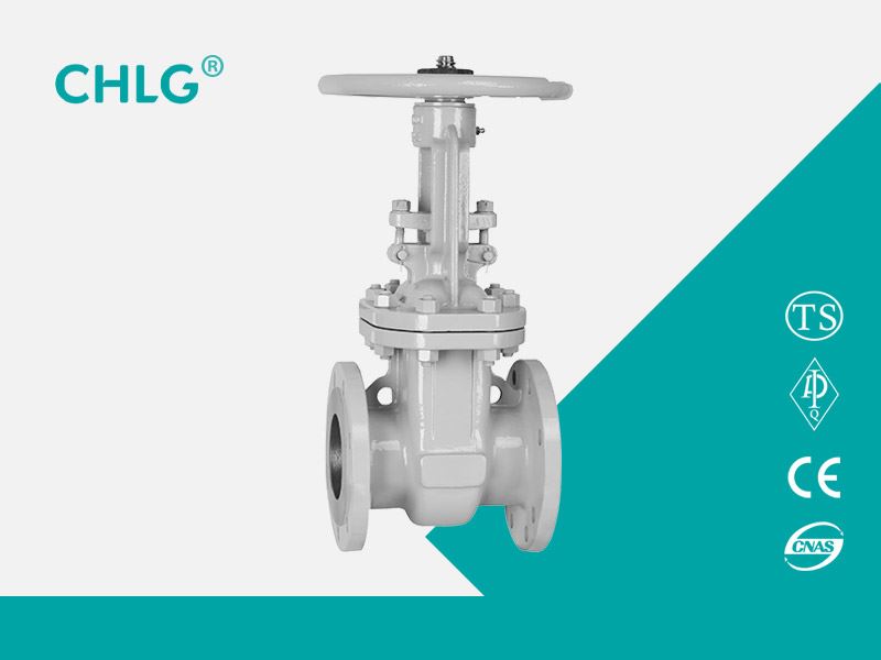 Manufacturer of Check valve, butterfly valve, globe valve, safety valve ...